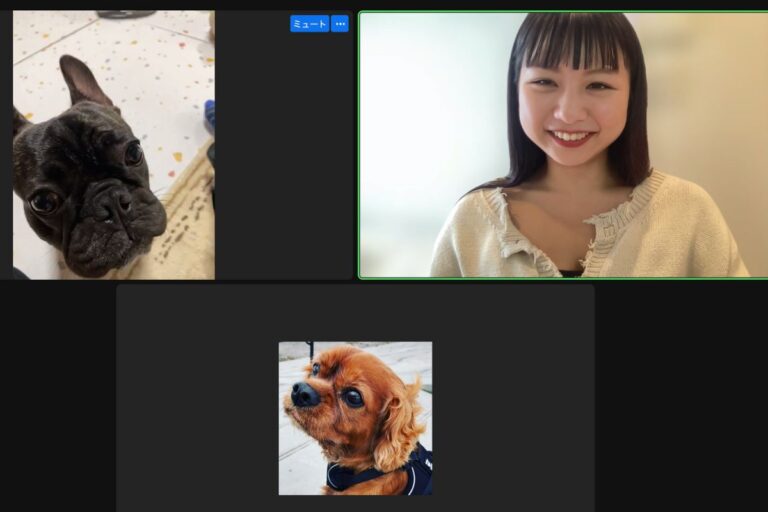 カイカイ対策ドッグフード10選！愛犬のかゆみの対処法をわかりやすく解説【獣医監修】 | INUNAVI（いぬなび）